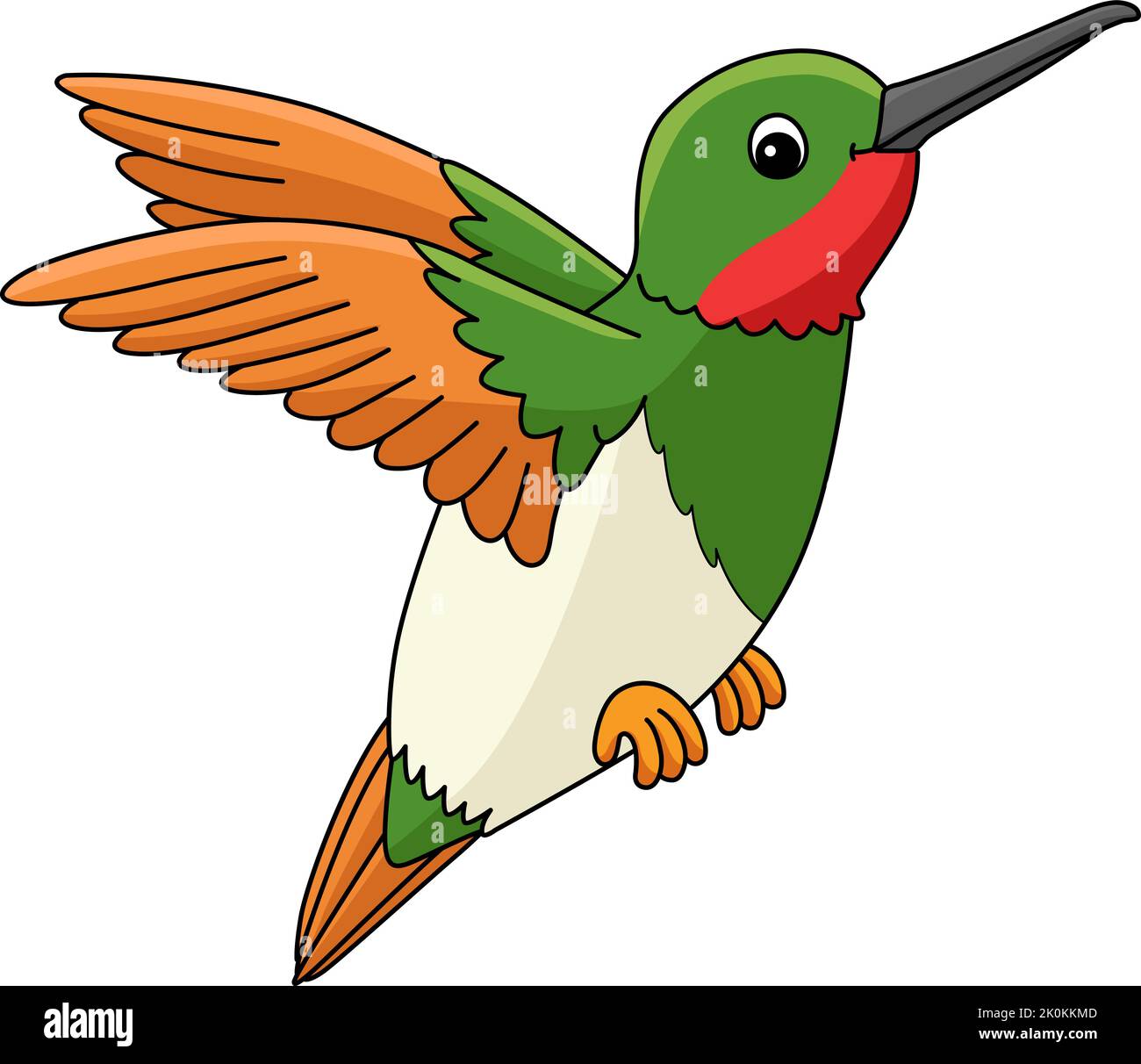 Hummingbird Animal Cartoon Colored Clipart Stock Vector Image & Art - Alamy