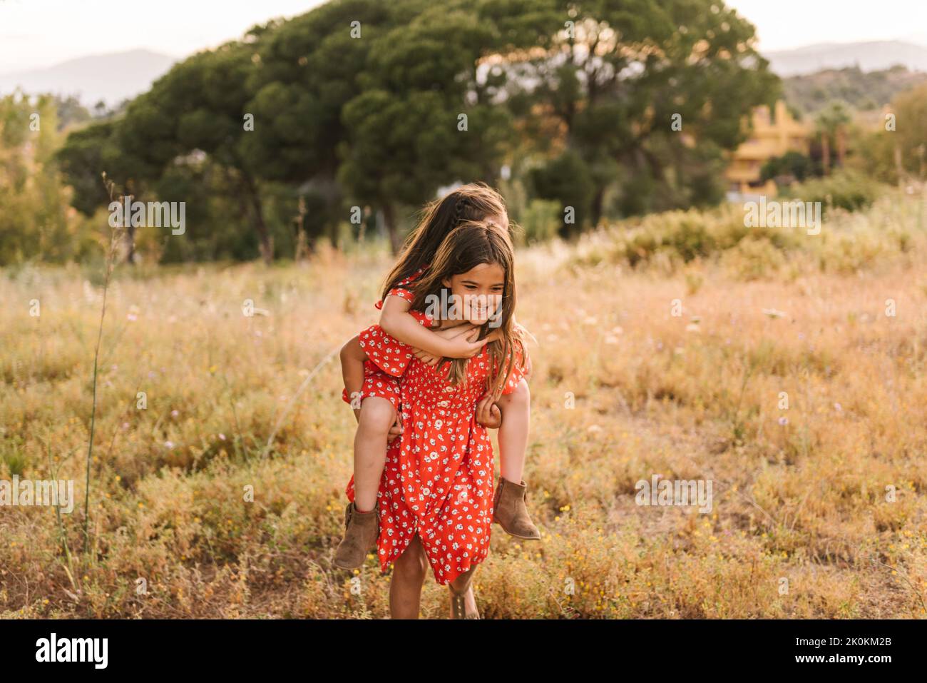 Adorable girl giving piggyback ride to little sister walking in golden ...