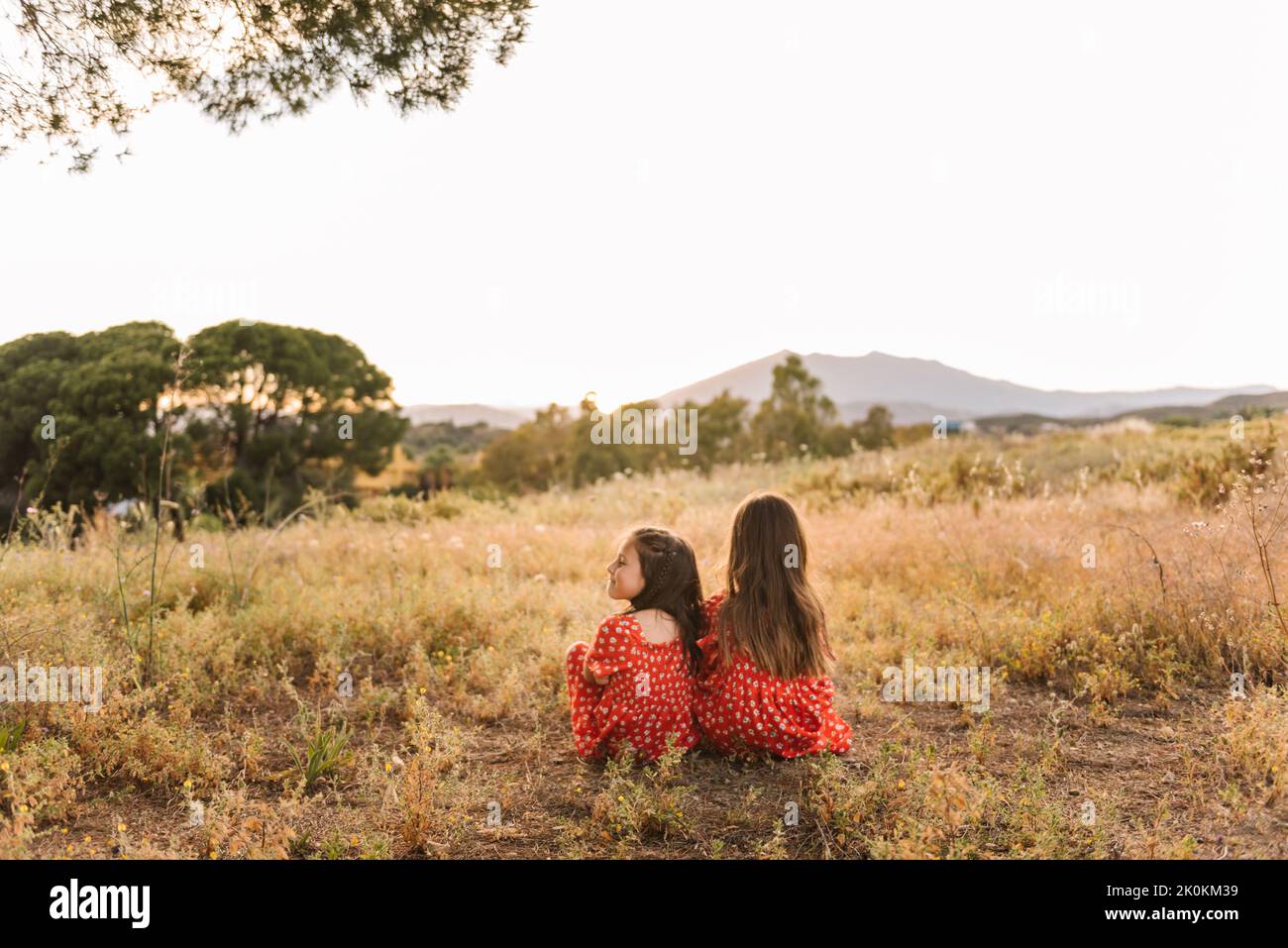 Back view on unrecognizable two little sisters sitting in the middle of ...