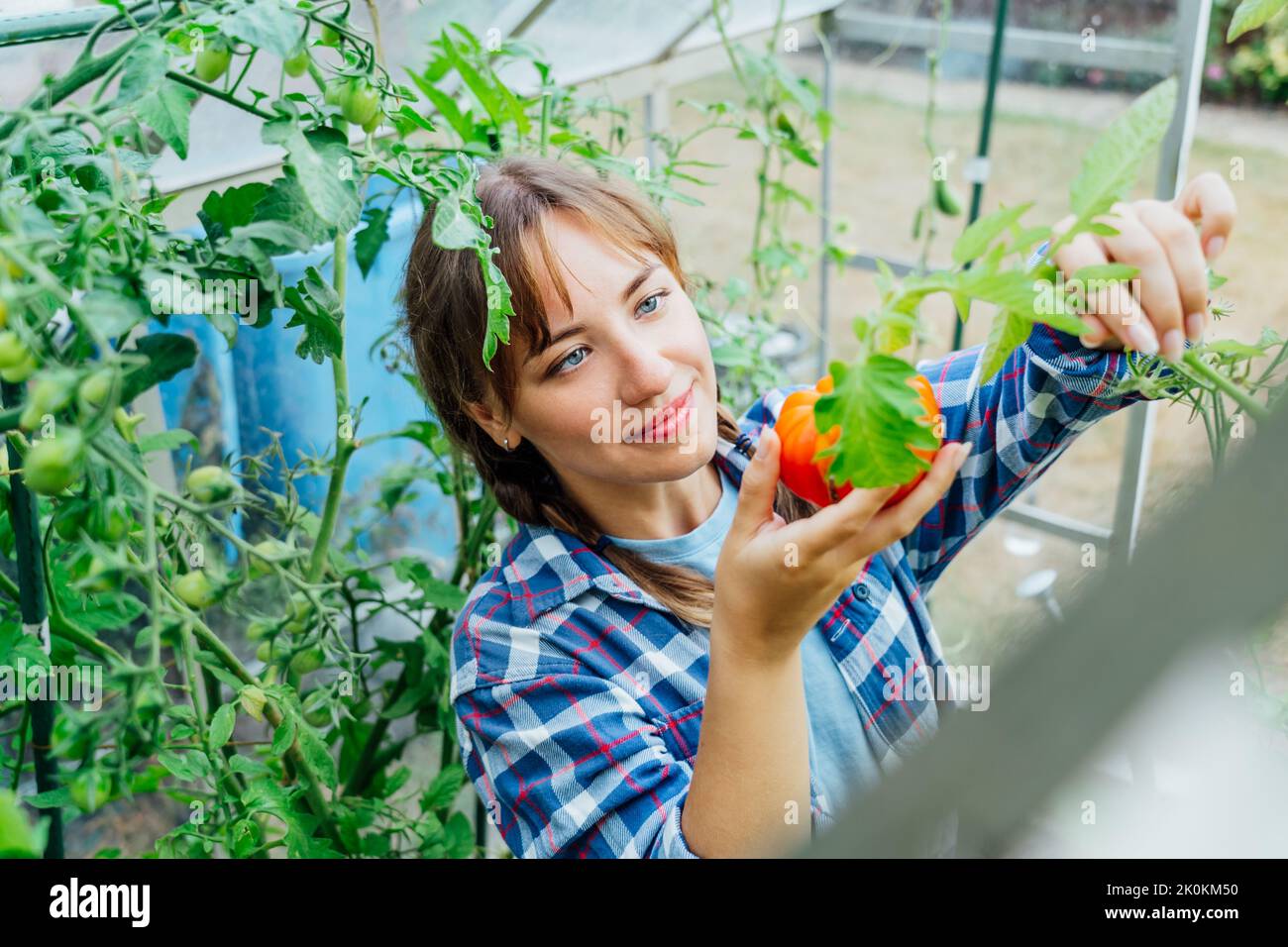 House of harvest hi-res stock photography and images - Alamy