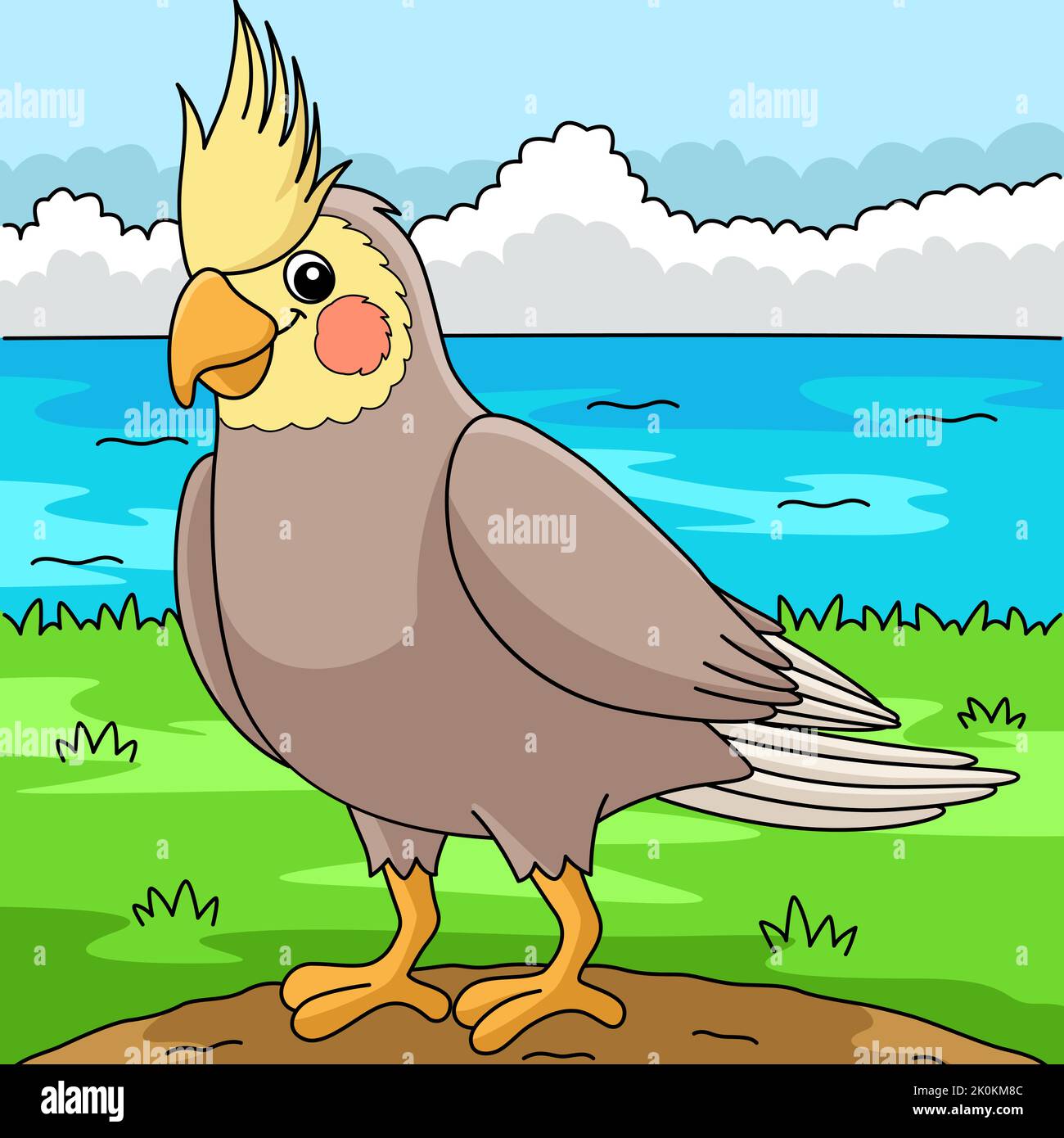 Cockatiel Animal Colored Cartoon Illustration Stock Vector Image & Art ...