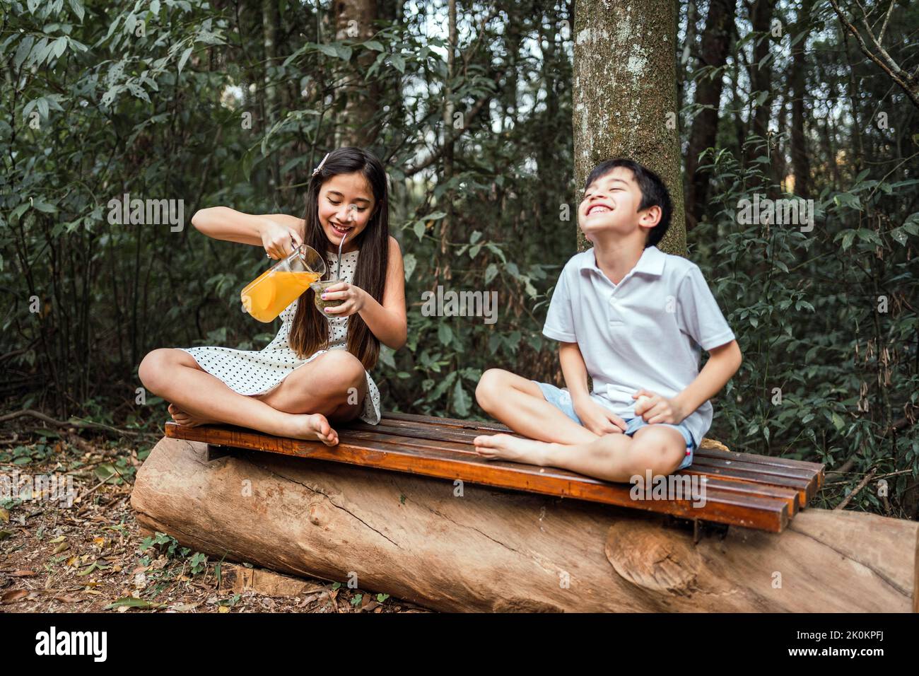 Child pouring lemonade hi-res stock photography and images - Alamy