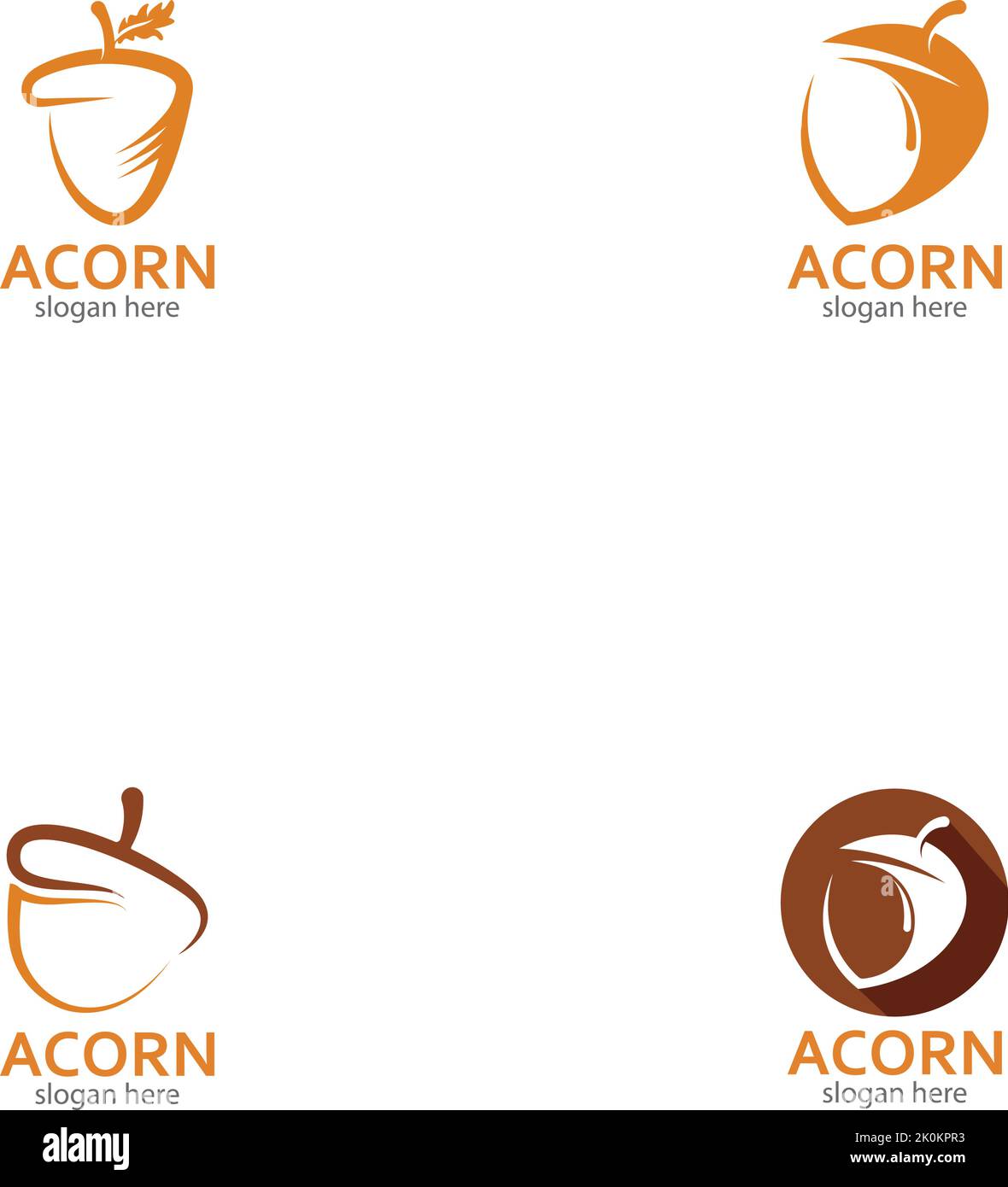 Acorn logo illustration vector template Stock Vector Image & Art - Alamy