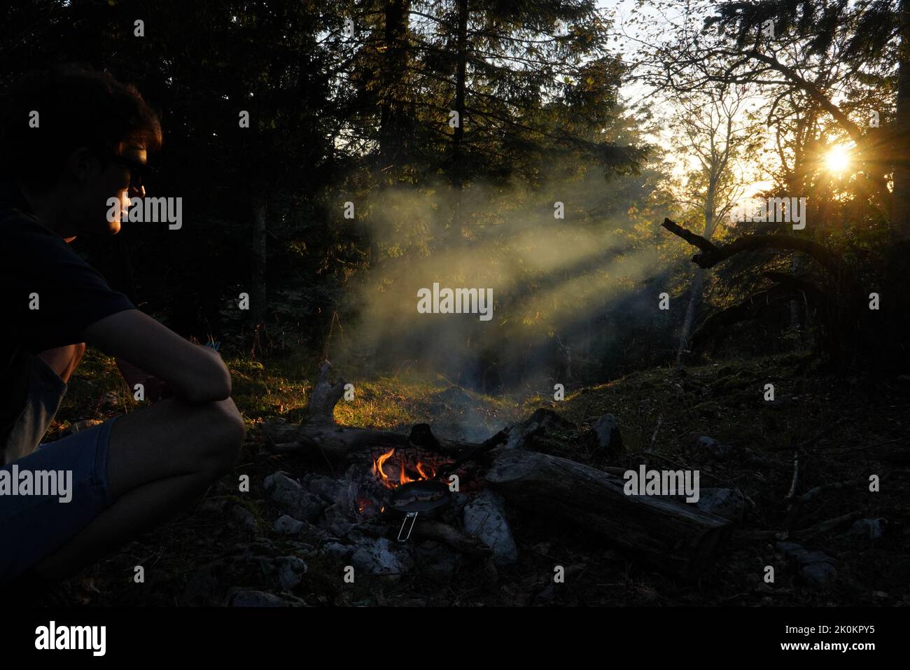Campfire in the Forest Stock Photo - Alamy
