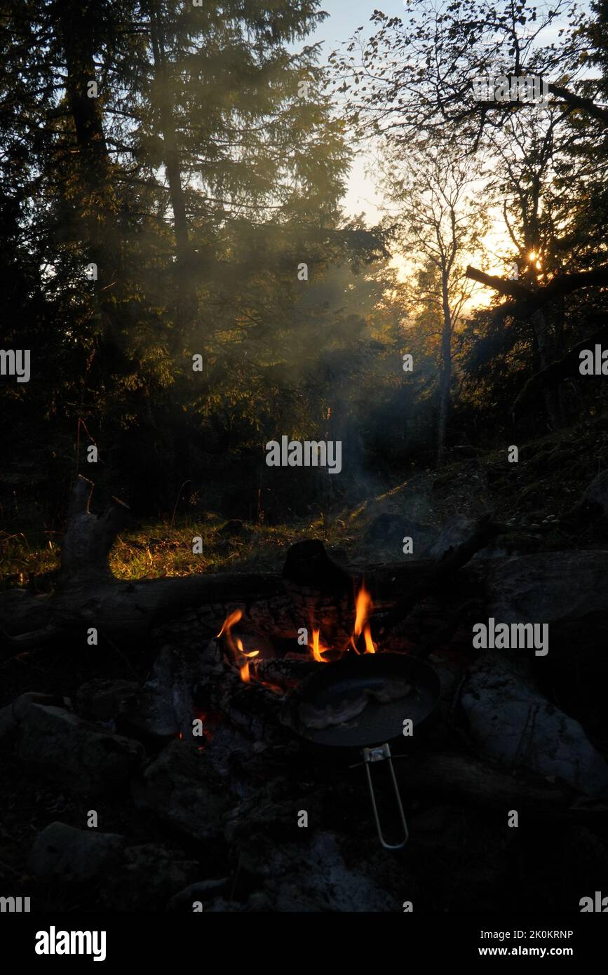 Campfire in the Forest Stock Photo - Alamy