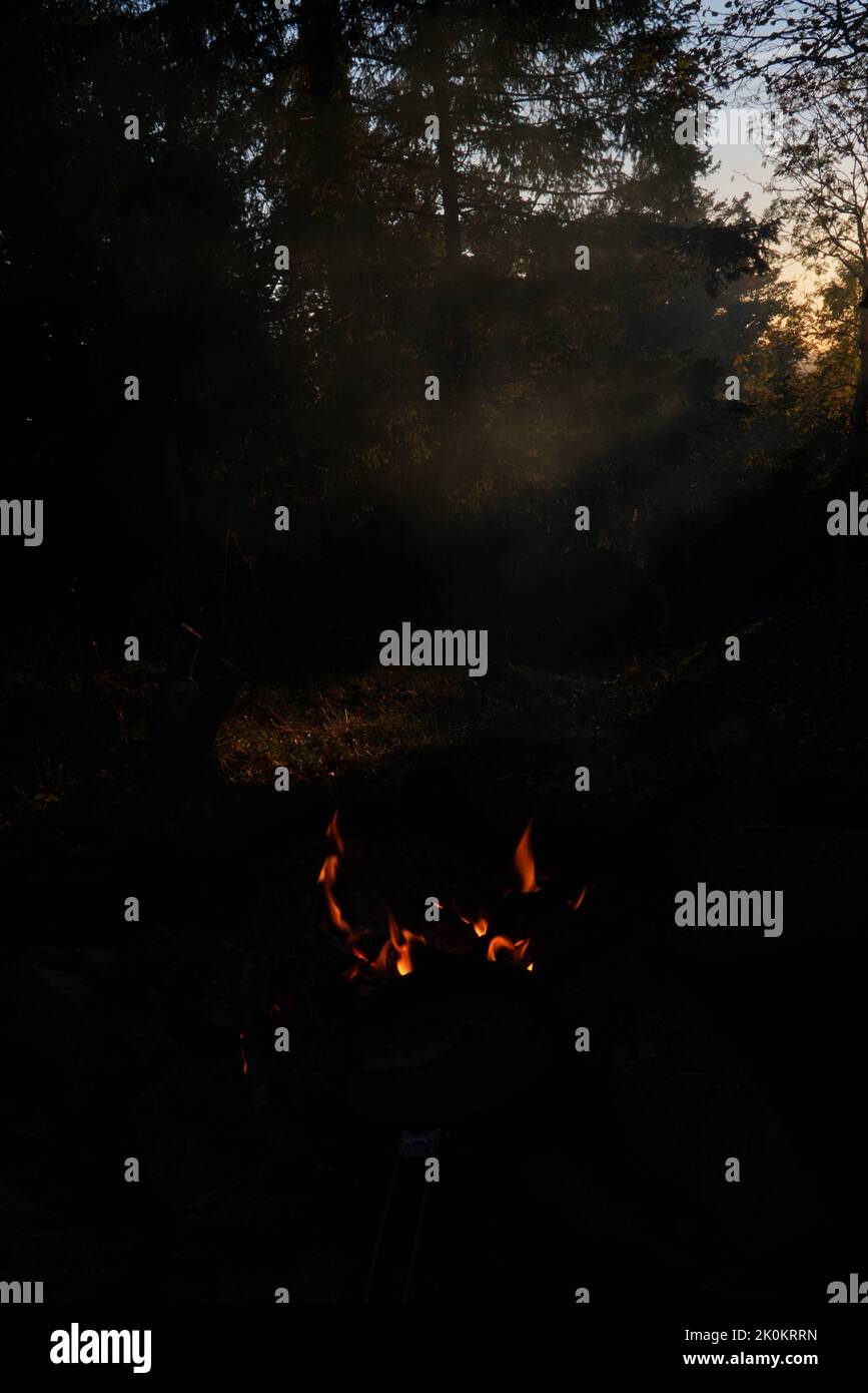 Campfire in the Forest Stock Photo - Alamy
