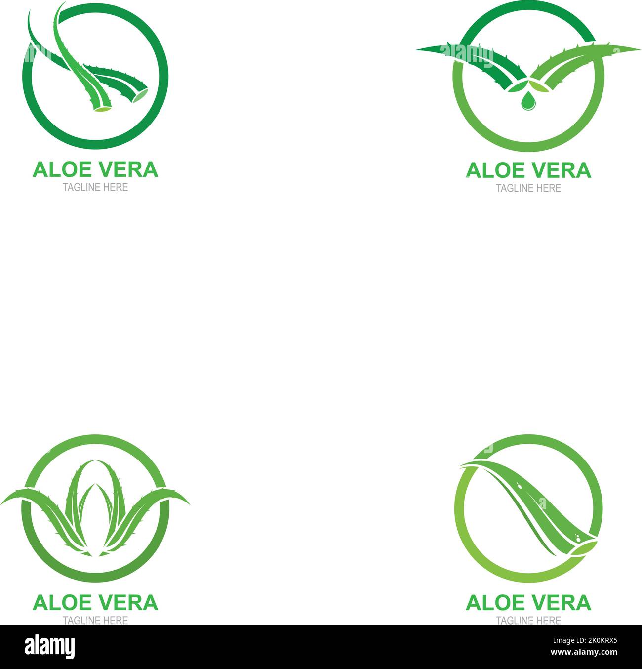Set of Aloe vera logo vector illustration template Stock Vector Image ...