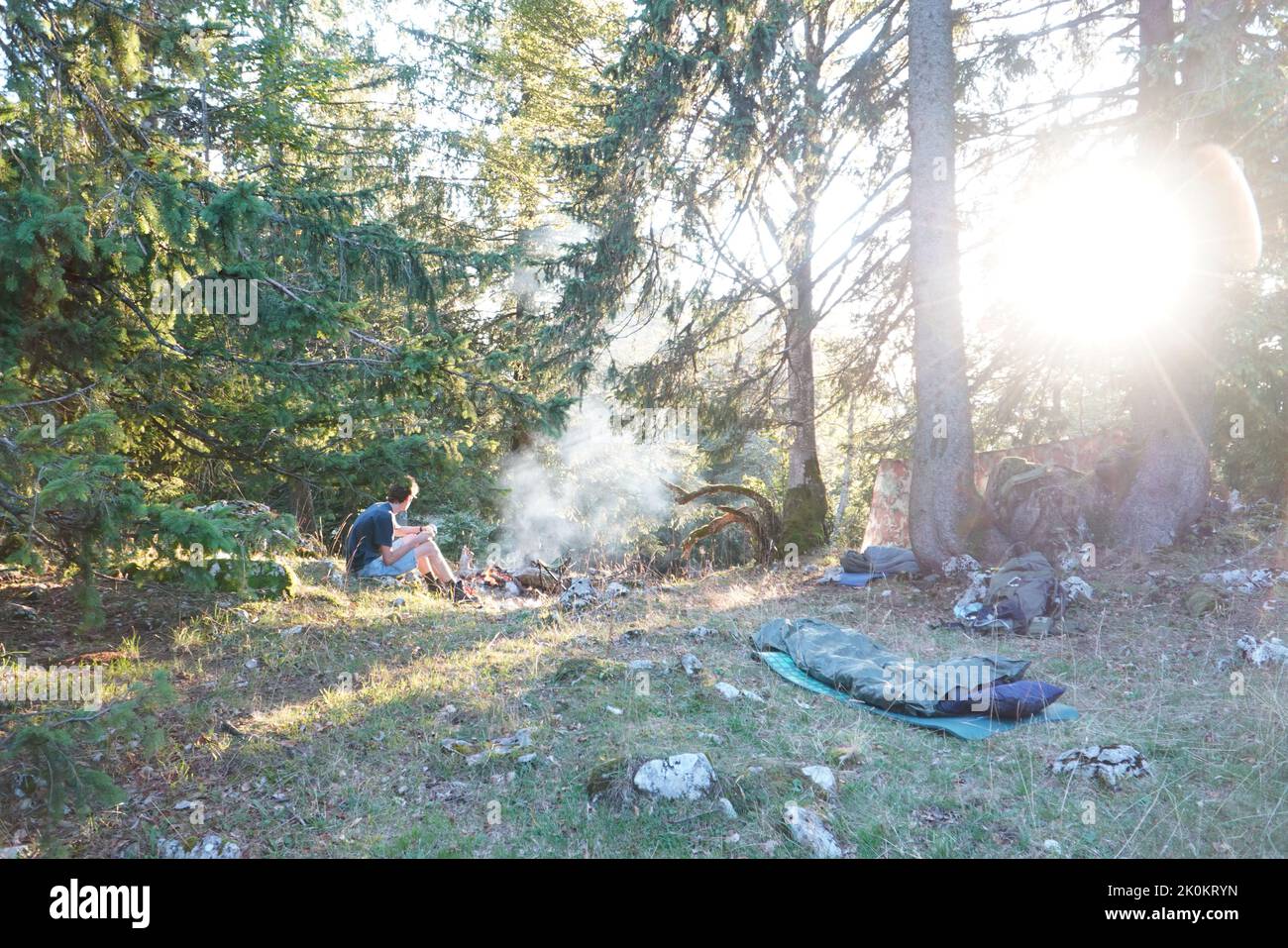 Campfire in the Forest Stock Photo - Alamy