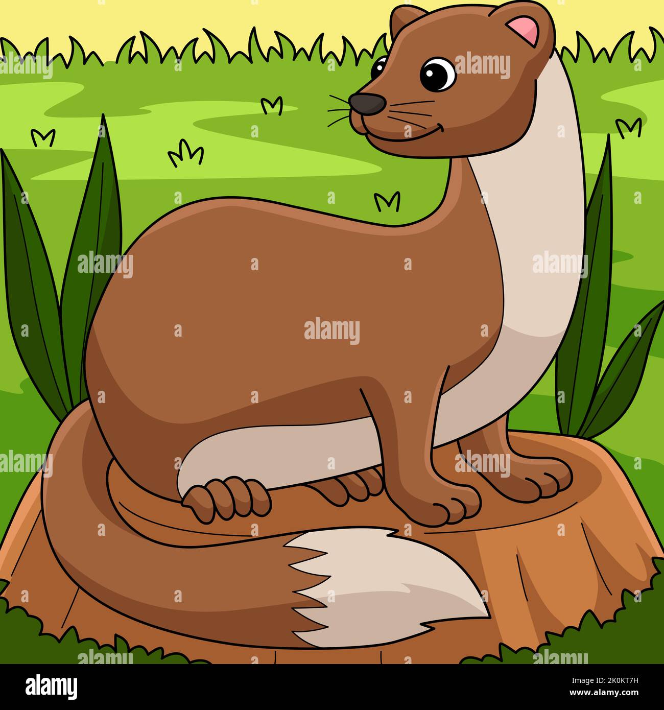 Weasel Animal Colored Cartoon Illustration Stock Vector Image & Art - Alamy