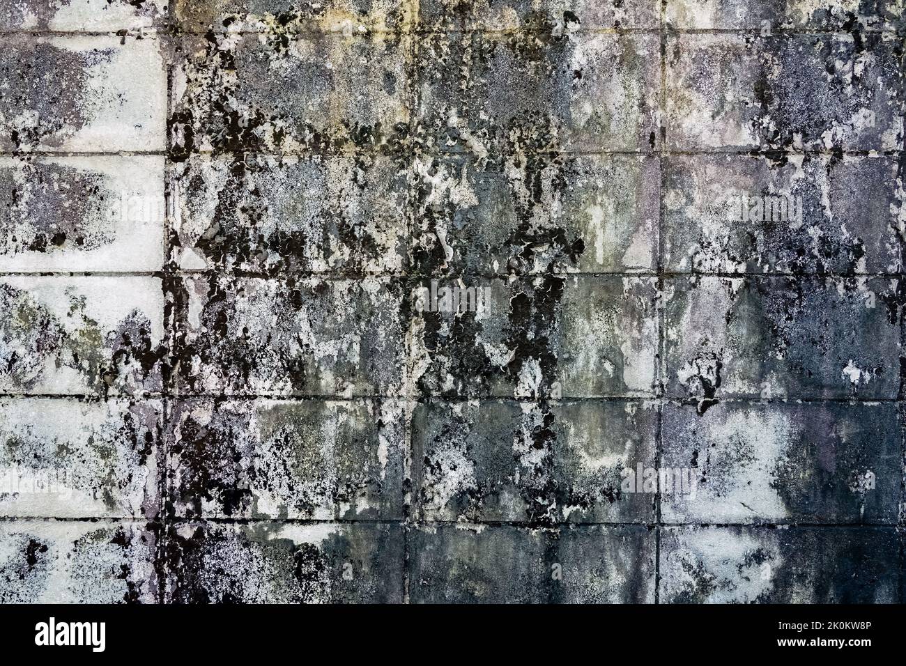 Dirty old eroded cracked plaster cement block fence. Concrete block ...