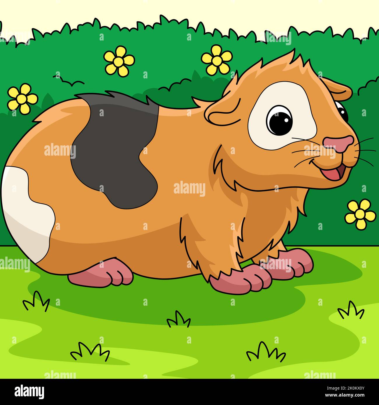 Guinea Pig Animal Colored Cartoon Illustration Stock Vector Image & Art - Alamy