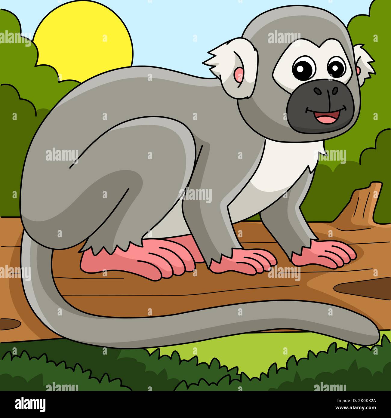 Squirrel Monkey Animal Colored Cartoon Stock Vector Image & Art - Alamy
