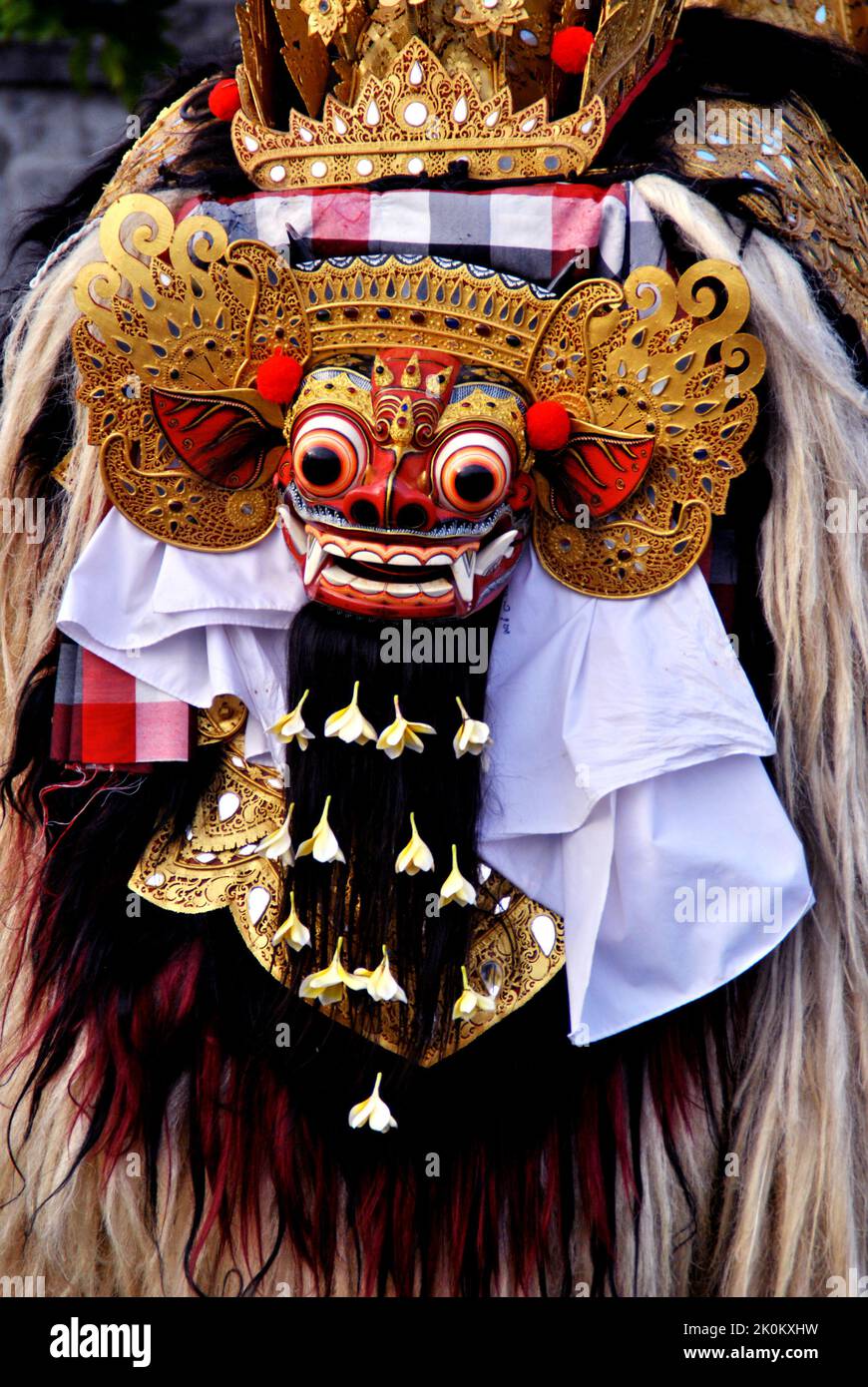 Barong cat is a symbol of Balinese Hindu mythology which has the nature ...