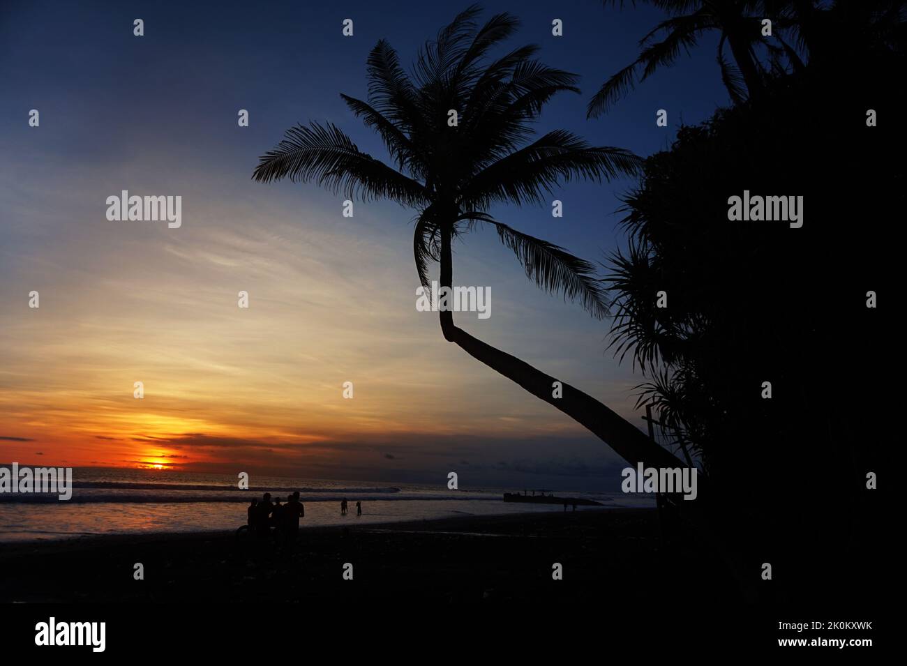 beautiful sunset on pasut beach, with twisted coconut trees Stock Photo ...