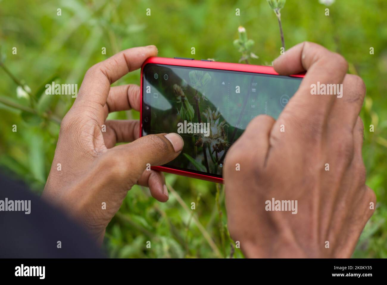A closeup shot of male hands holding a phone taking photos in the ...