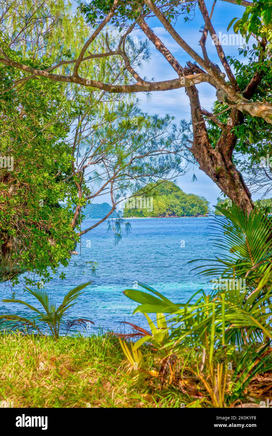 Photograph on the sea of Palau photographed from a green island in ...
