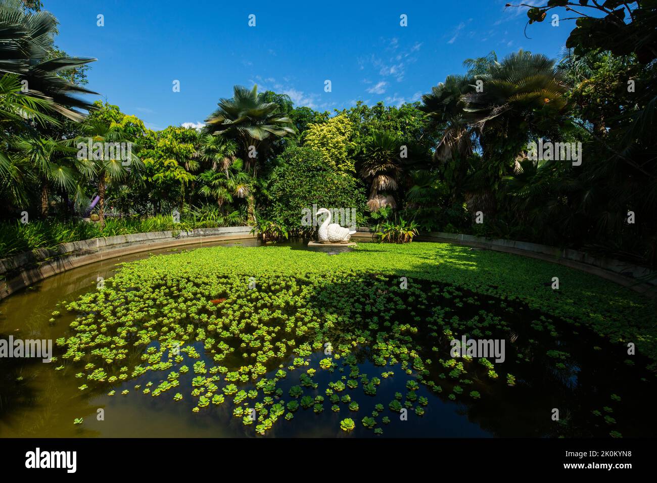 Beautiful swan sculpture, a small scale pond quiet spot for visitors to ...