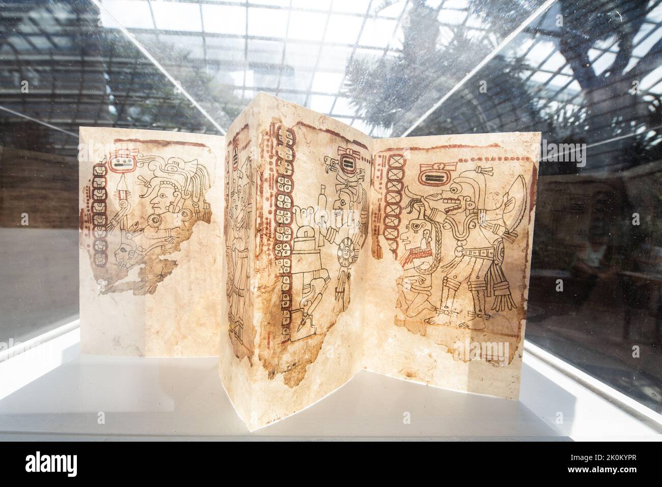 Dresde Codex sample, it is a decipherment of the Maya script and ...