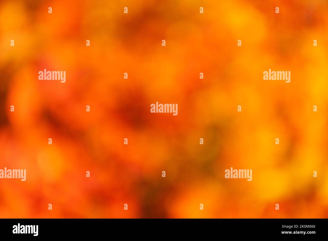 defocused orange background. orange color defocused background. orange ...
