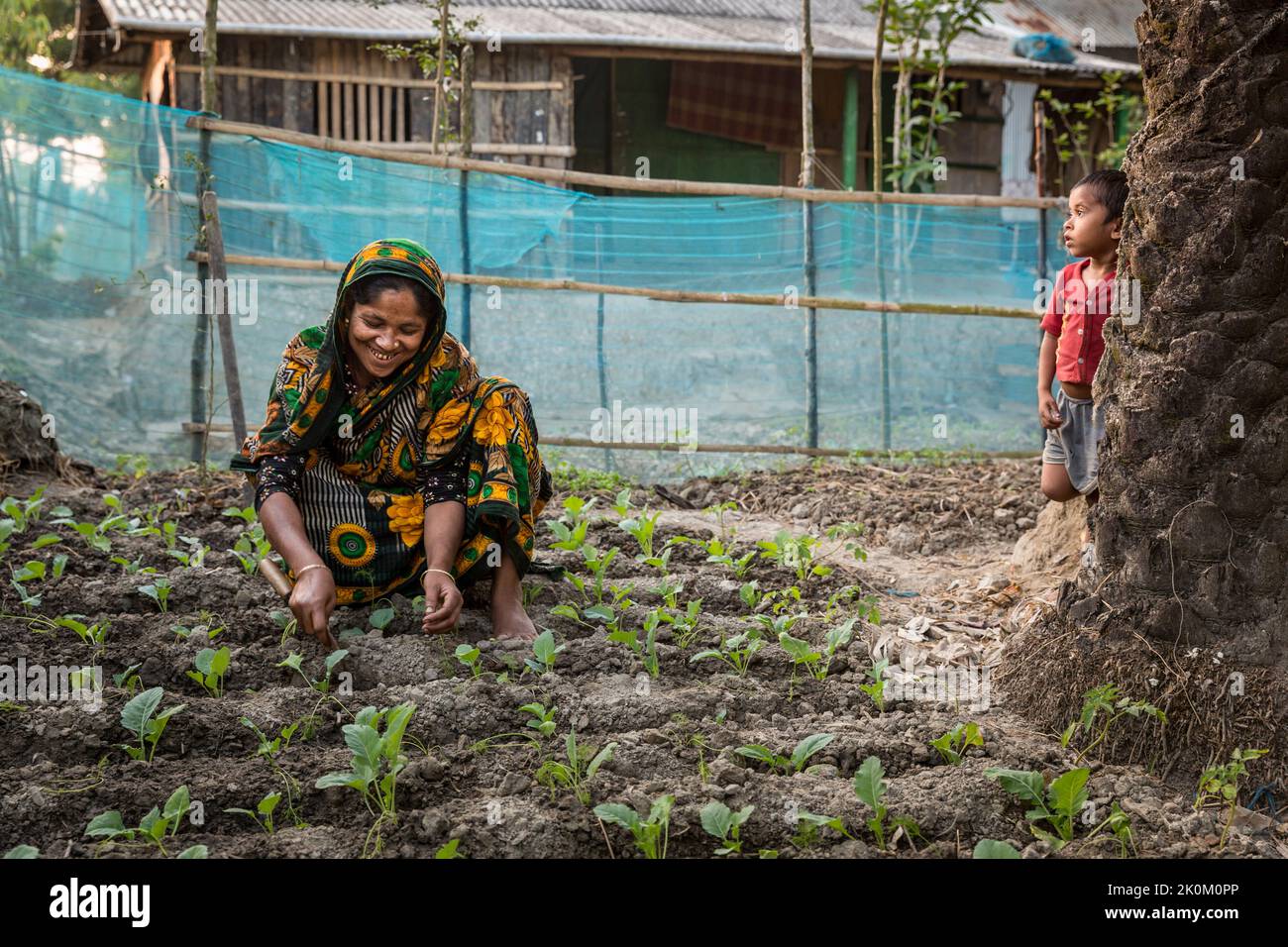 Vegetable cultivation near Shyamnagar. The people in the small ...
