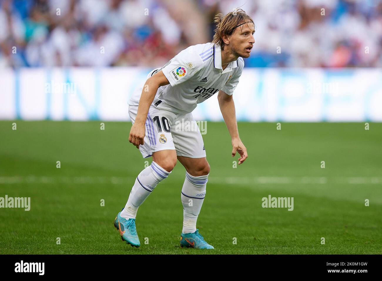 Luka Modric of Real Madrid during the La Liga match between Real Madrid ...