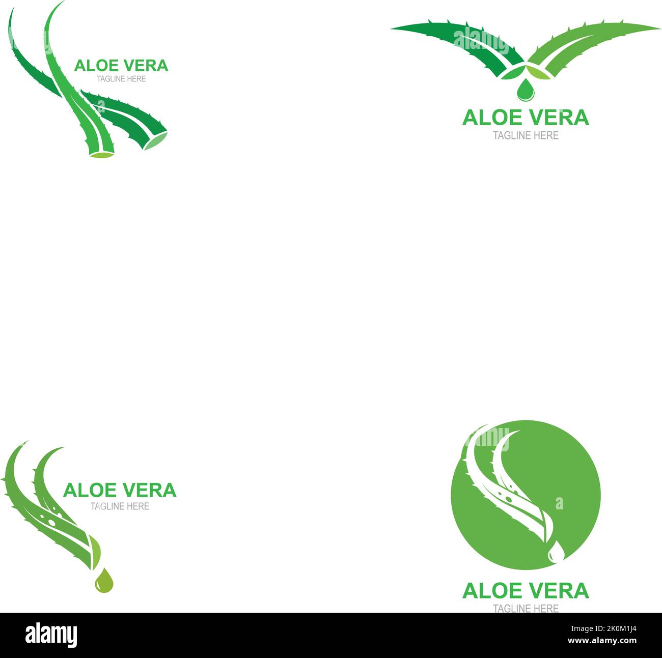 Set of Aloe vera logo vector illustration template Stock Vector Image ...