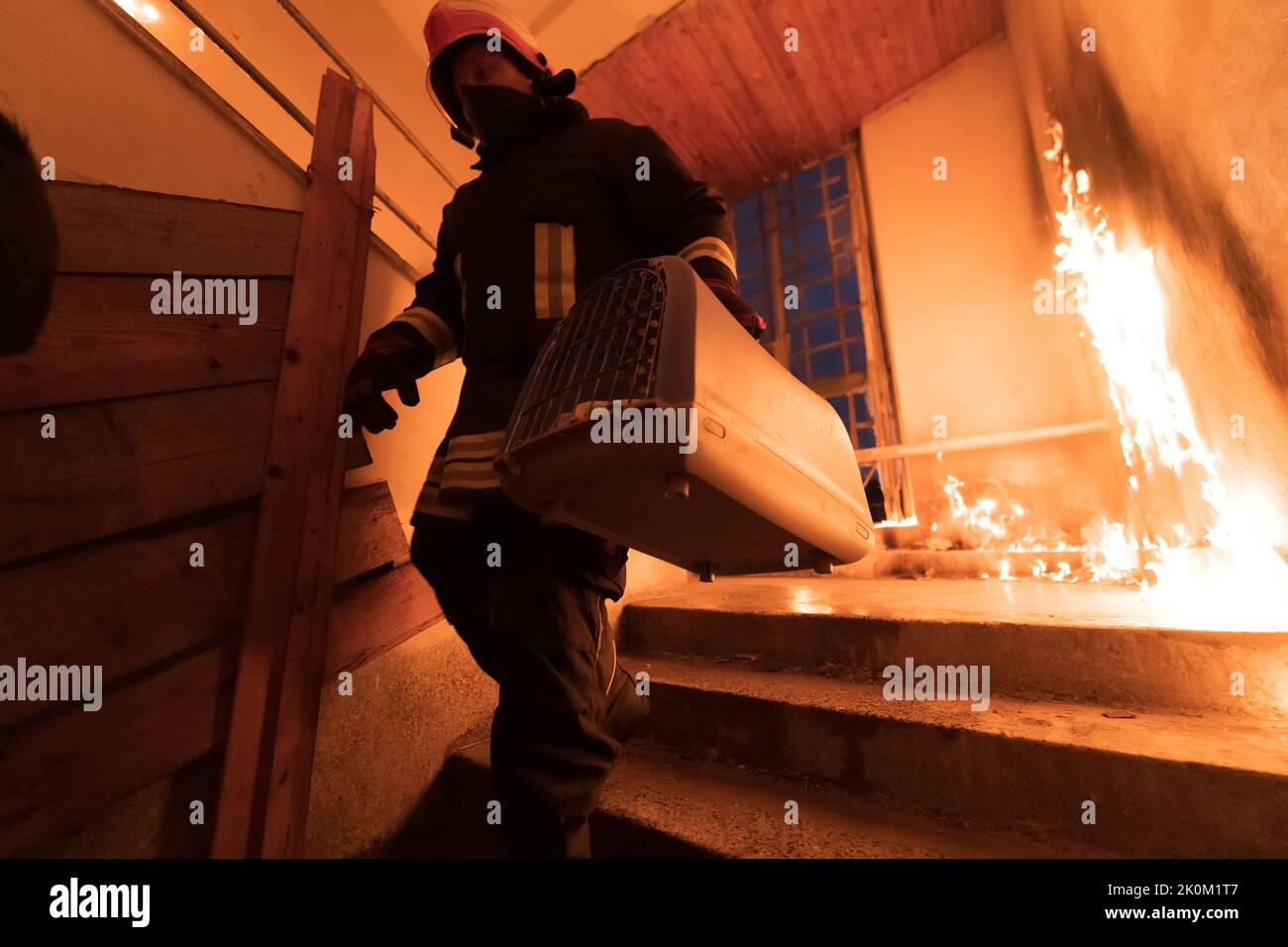 Cat fire fighter hi-res stock photography and images - Alamy