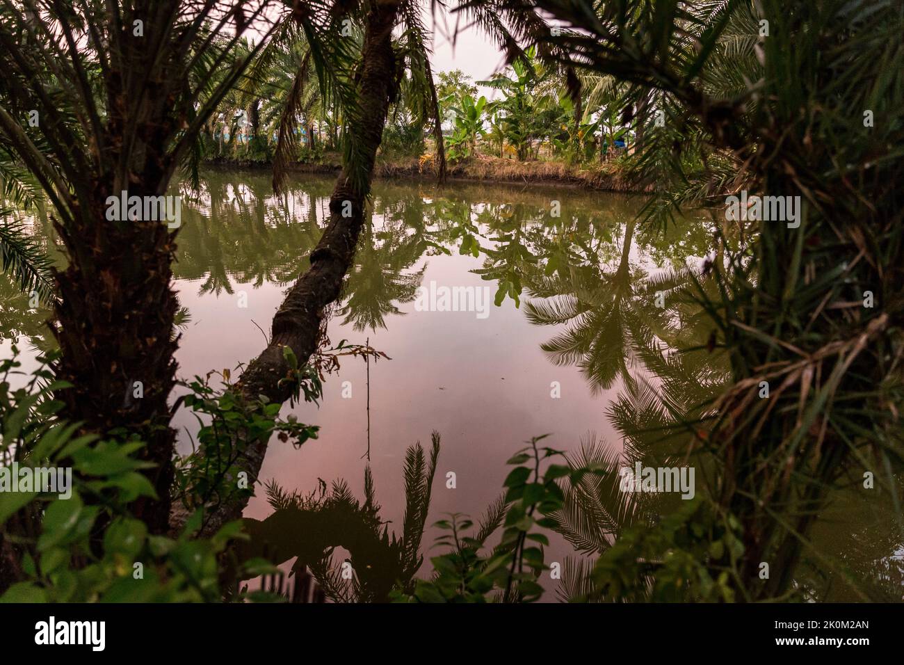 Salinated beaches hi-res stock photography and images - Alamy