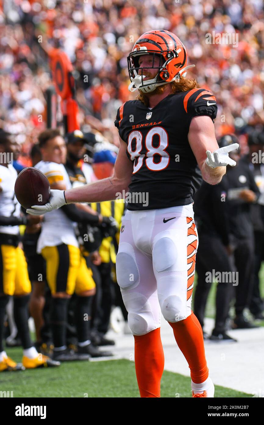 Hayden hurst bengals hi-res stock photography and images - Alamy