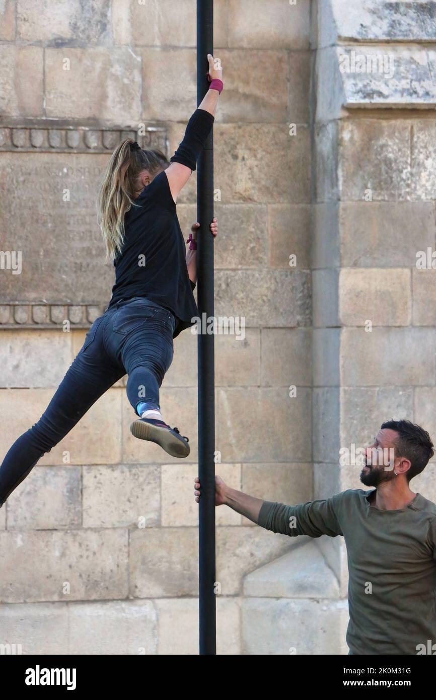 Free public event in the Plaza Rey San Fernando next to Burgos ...