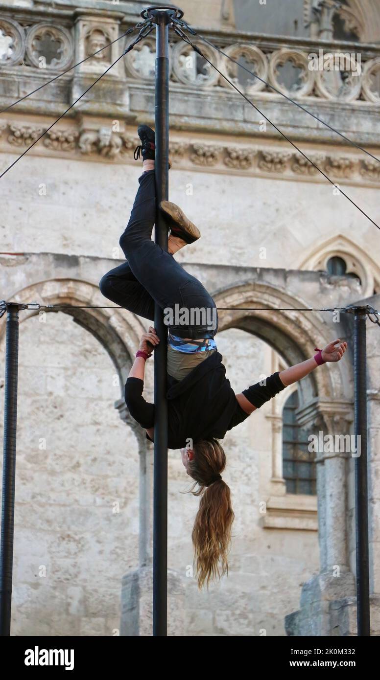 Free public event in the Plaza Rey San Fernando next to Burgos ...