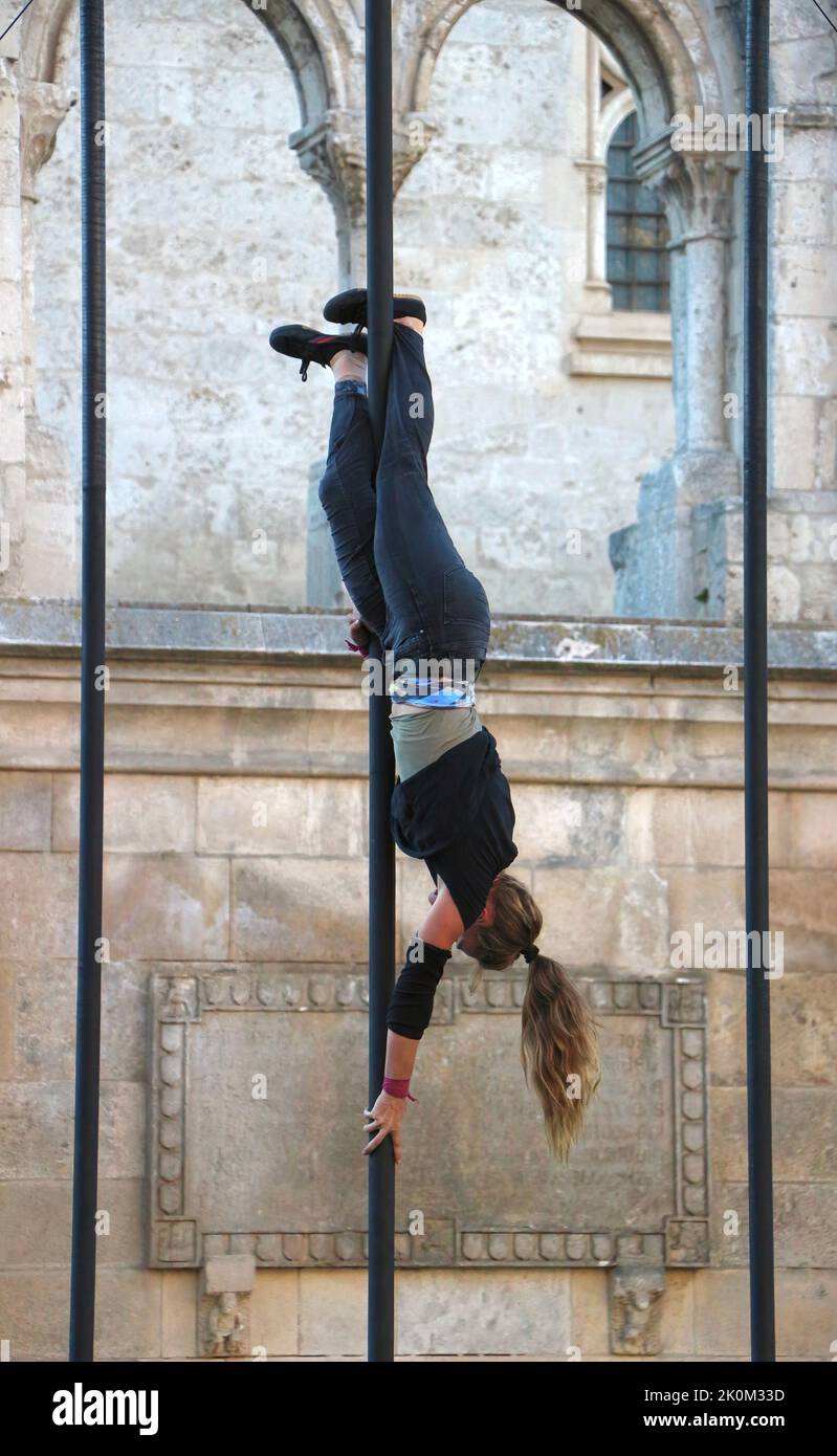 Free public event in the Plaza Rey San Fernando next to Burgos ...