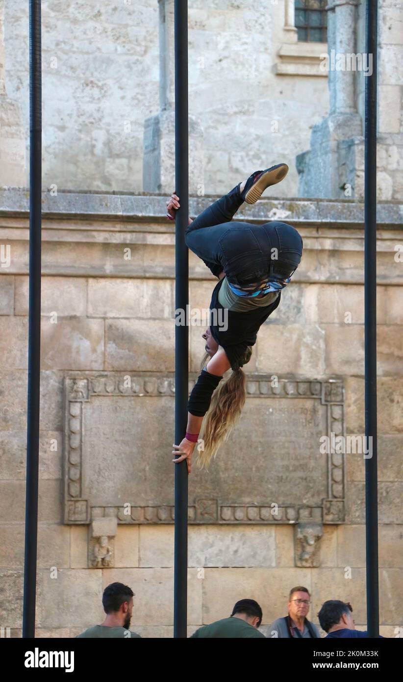 Free public event in the Plaza Rey San Fernando next to Burgos ...