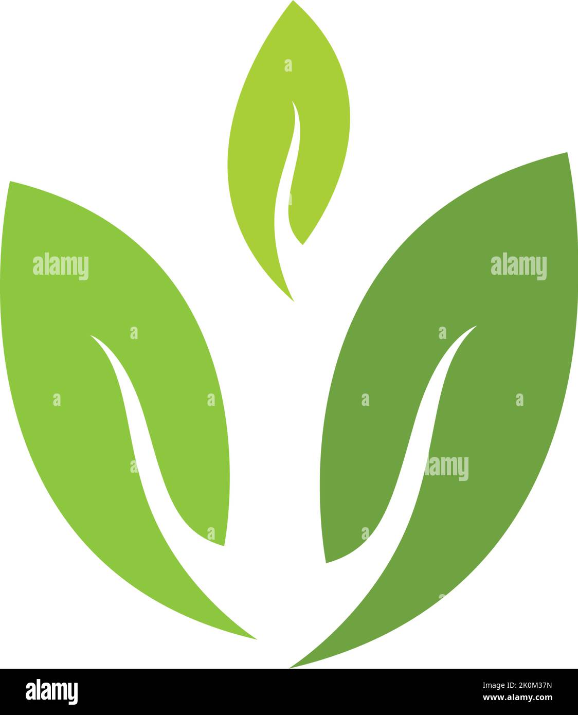 Green leaf logo template Vector icon Stock Vector Image & Art - Alamy