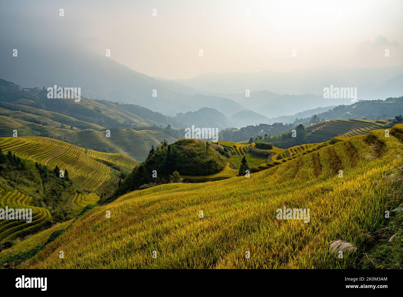Longji Rice terraces China aerial view sunrise Stock Photo - Alamy