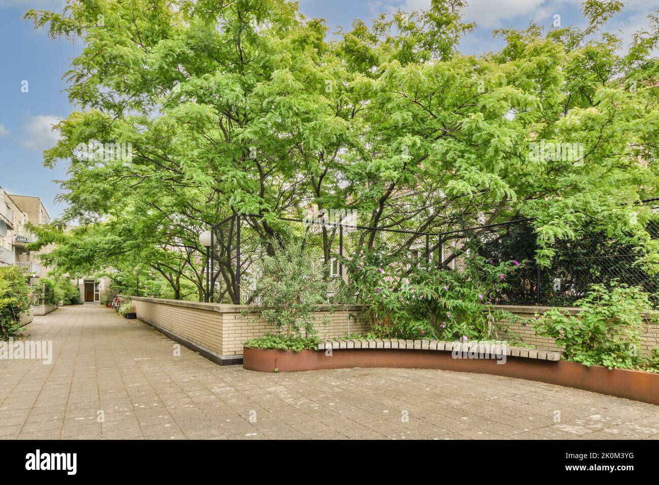 View of street near building with beauty of vegetation outside Stock ...