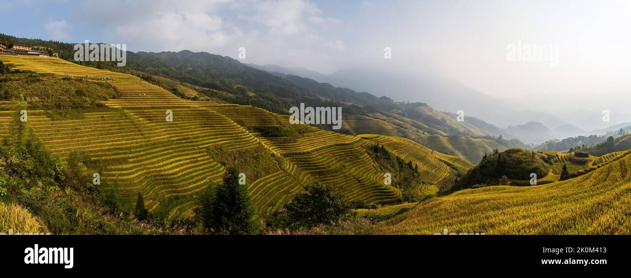 Longji Rice terraces China aerial view sunrise Stock Photo - Alamy
