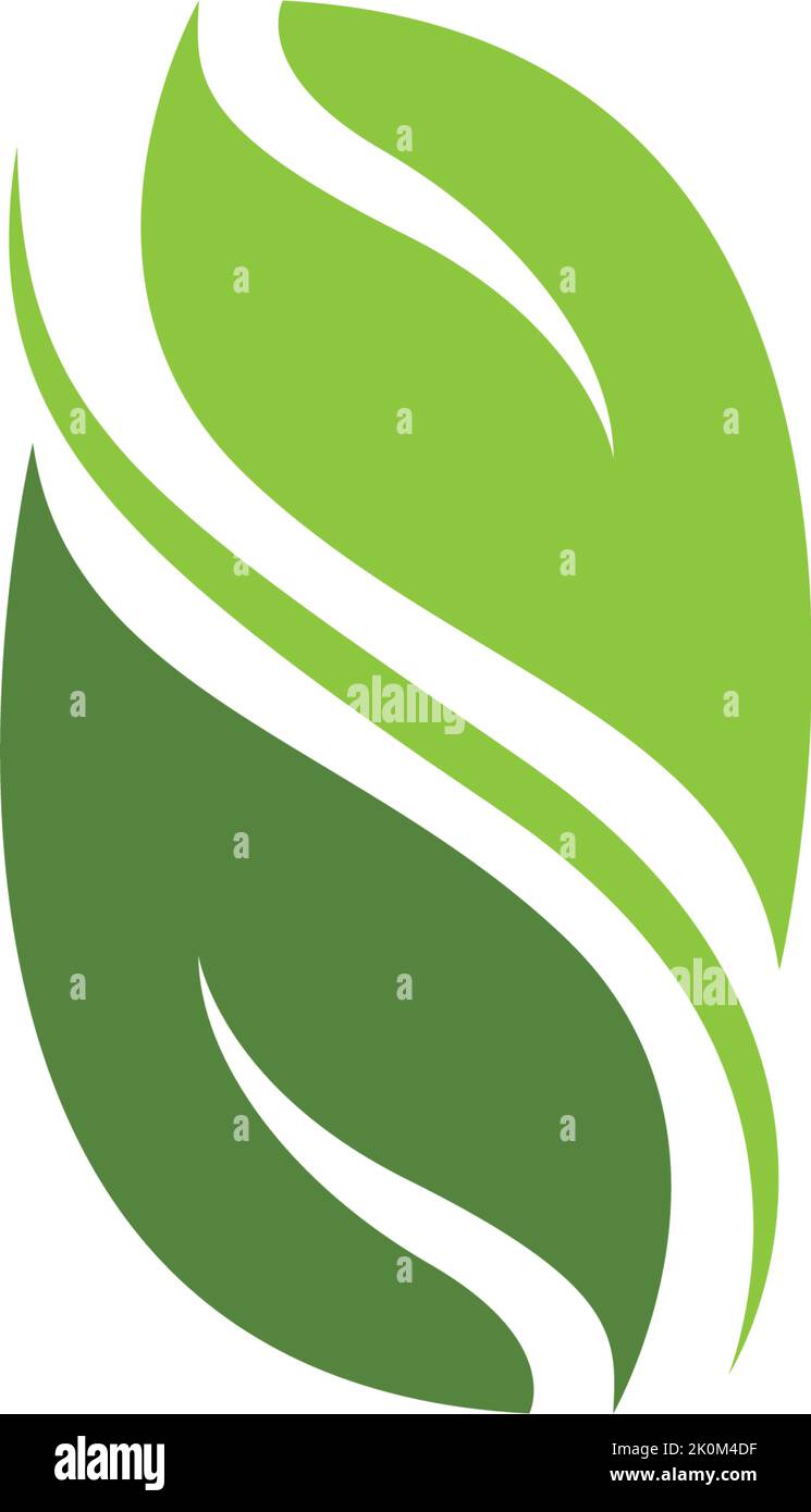 Green leaf logo template Vector icon Stock Vector Image & Art - Alamy