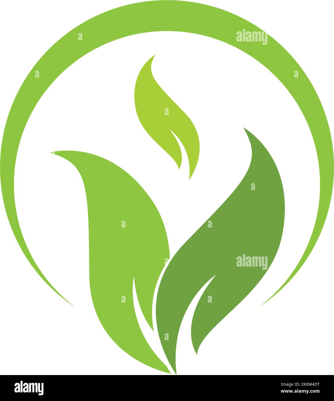 Green leaf logo template Vector icon Stock Vector Image & Art - Alamy