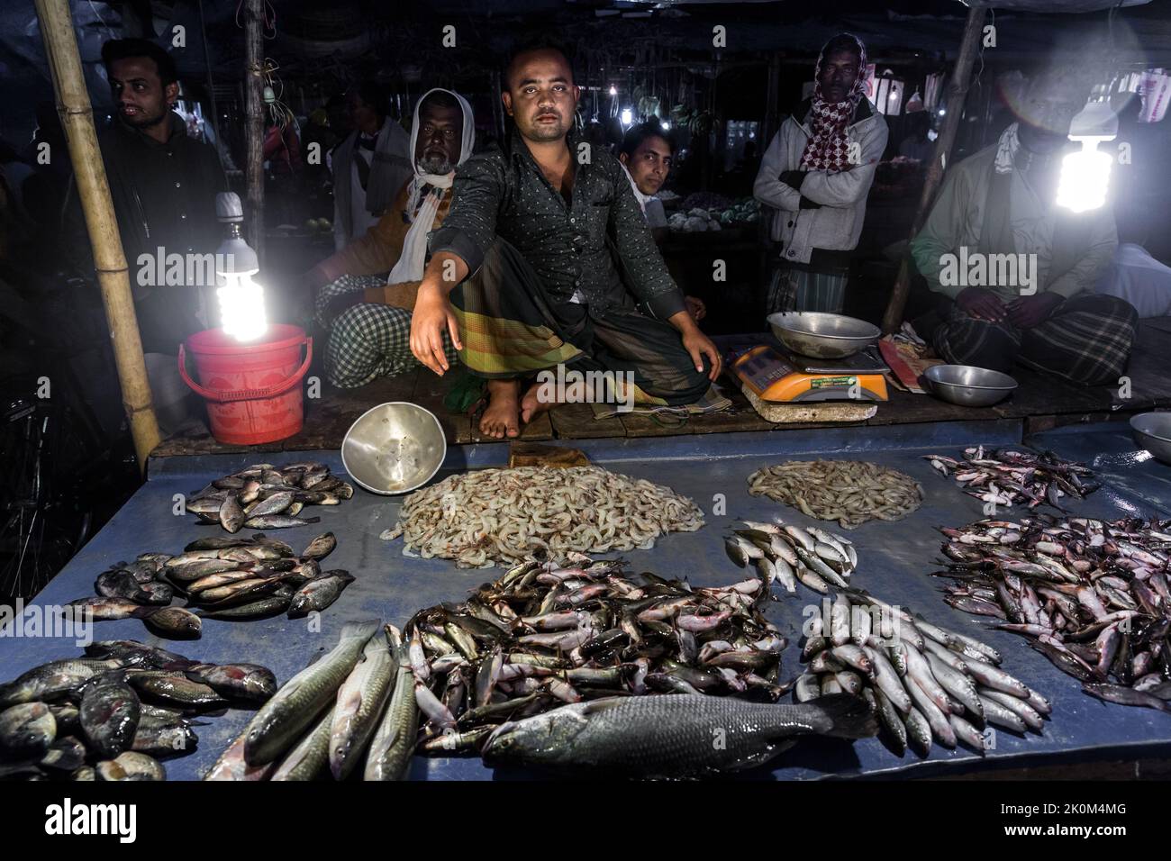 Fish vendors in the markets near Shyamnagar. The people in the small ...