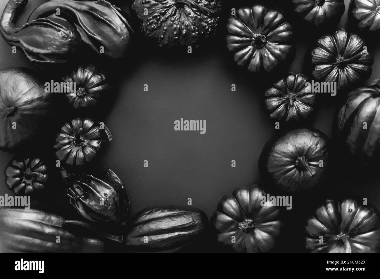 Various kinds cute mini pumpkins in black colour placed in circle with ...