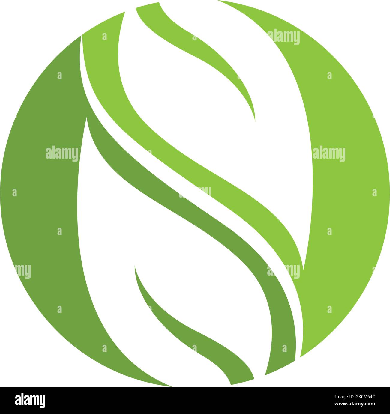 Green leaf logo template Vector icon Stock Vector Image & Art - Alamy