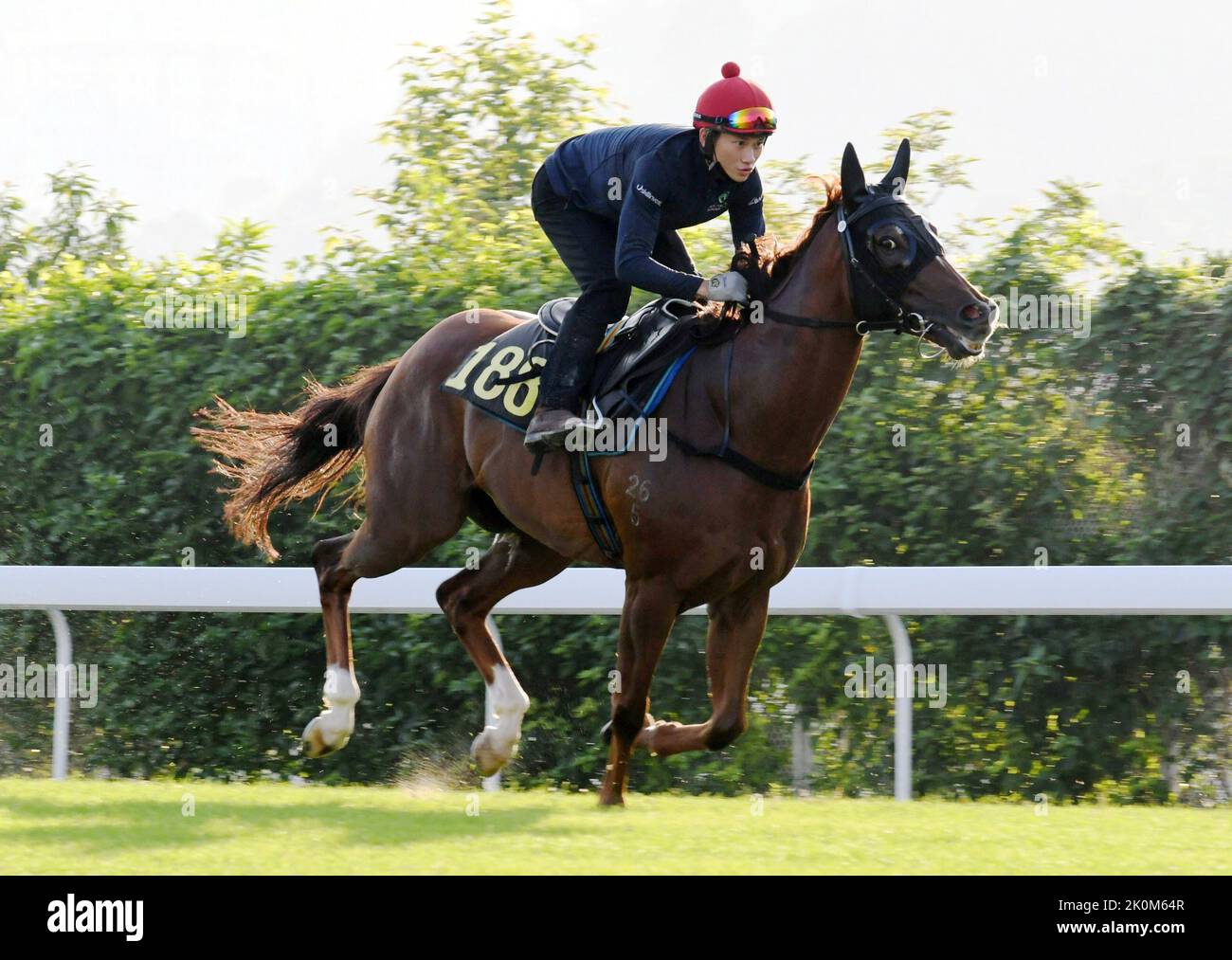 DUKE WAI (188) ridden by Jerry Chau Chun-lok galloping on the turf at ...