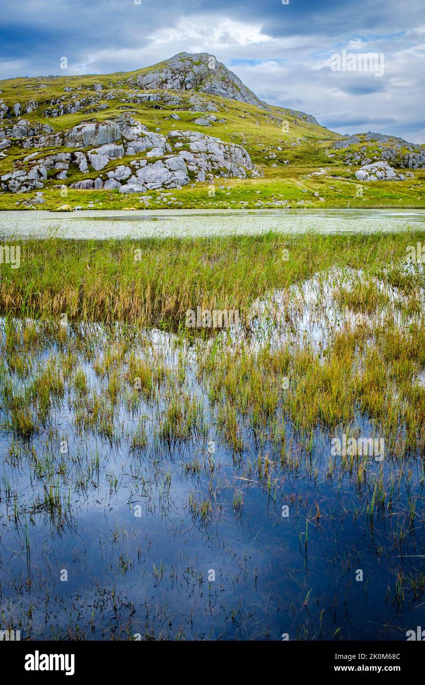 Ben Hogh (106 metres) is the highest hill on Coll with Loch Ballyhaugh ...