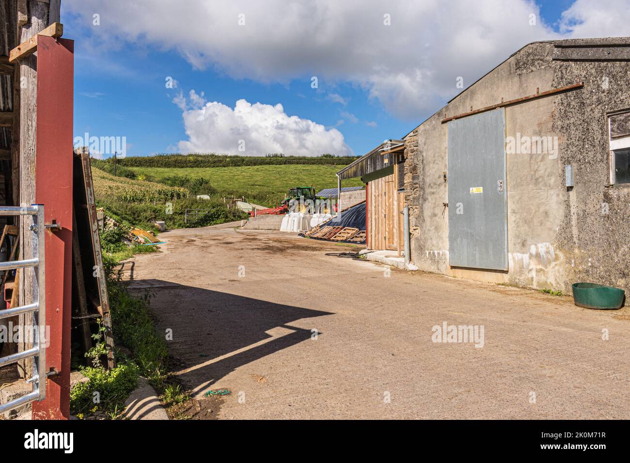 Dorset farm hi-res stock photography and images - Alamy