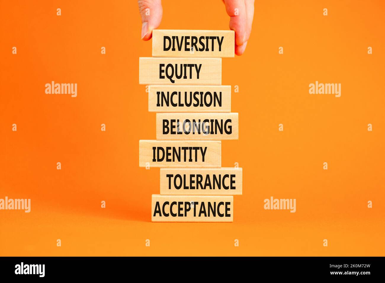 Diversity, inclusion symbol. Diversity belonging inclusion equity ...