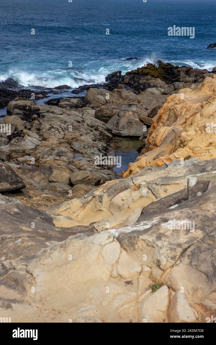 Salt Point on the California Coast in Sonoma County Stock Photo - Alamy