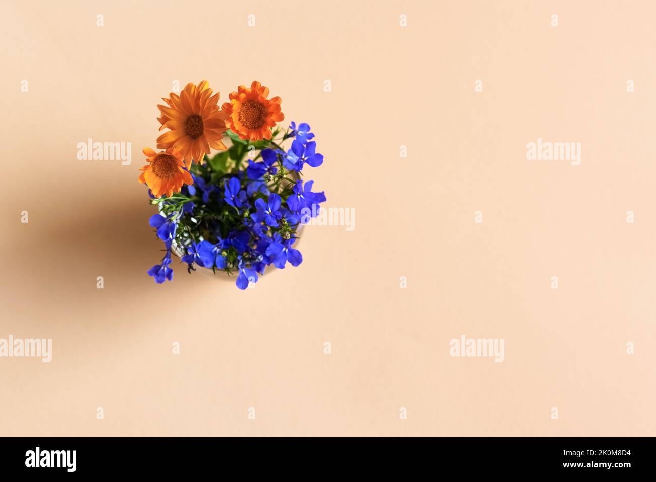 Blue lobelia flowers and orange calendula flowers in a transparent vase ...