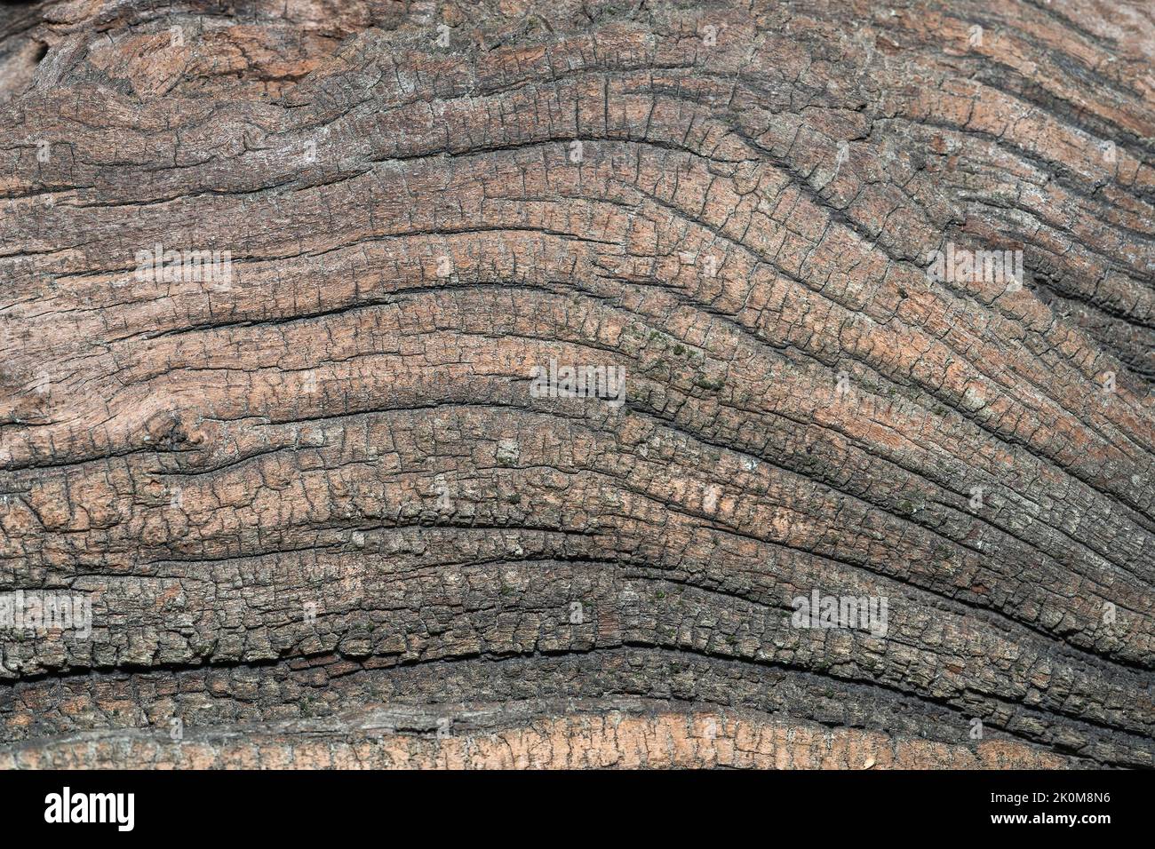 Heavy wood timber structure hi-res stock photography and images - Alamy