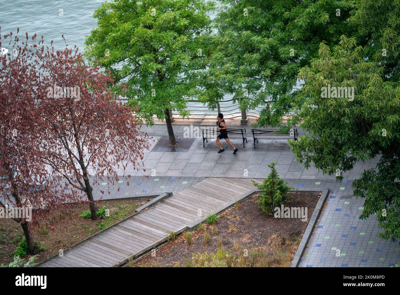 A man jogging through Hudson River Park, which borders the Hudson River ...